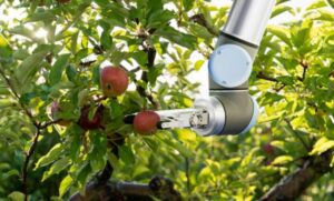 Home - AR Automations Robotic